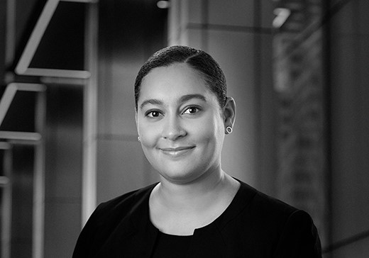 Professionals - Sher Tremonte